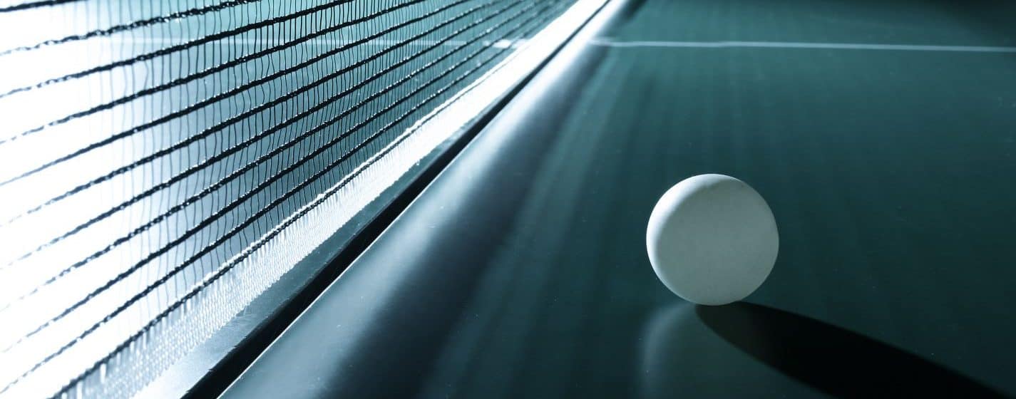 The Ping Pong Spot