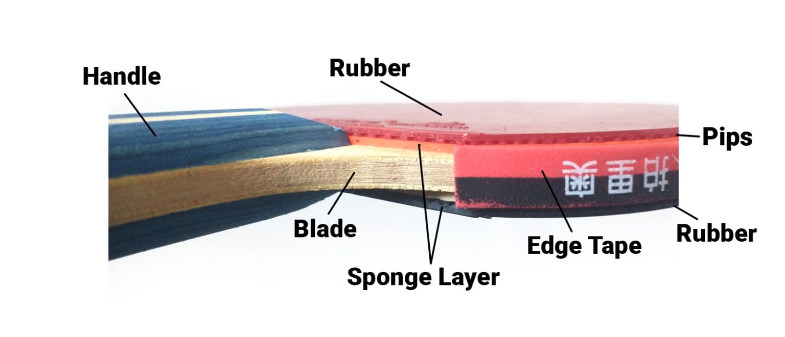 Best Table Tennis Racket: How to Choose the Right Blade and Rubber 2024